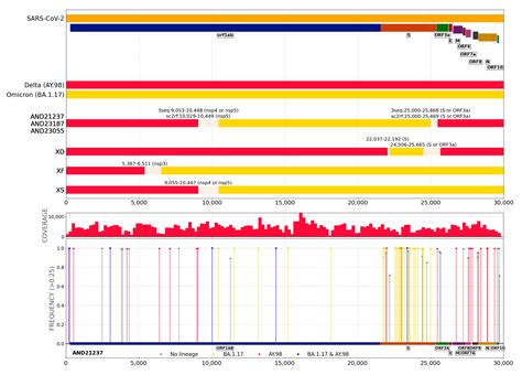 Detection Of High Level Of Co Infection And The Emergence Of Novel Sars Cov 2 Delta Omicron And