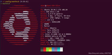 macos终端 iterm2 美化 zsh 配合 neofetch 个性化显示系统信息 mac neofetch csdn博客