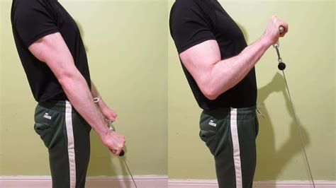 Reverse Cable Curl Tutorial And Mistakes To Avoid