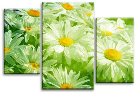 Купить картину Цветущие ромашки Из трех частей в Киеве доступная цена в Украине фото