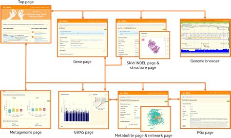 13 Website Structure — Jmorp User Guide Documentation