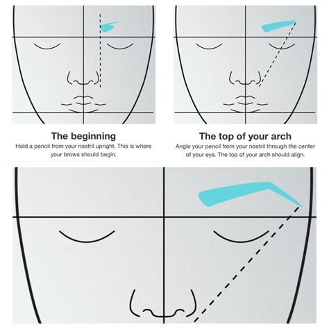 Eyebrow Basics Eyebrows Brows Alignment