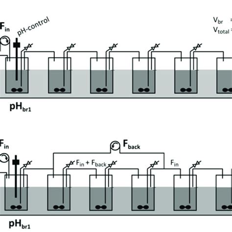 Possible Modifications Of The Linear Cascade Of Bioreactors To Develop