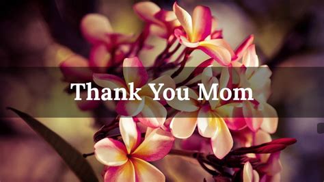 100 Thank You Mom Messages And Appreciated Quotes
