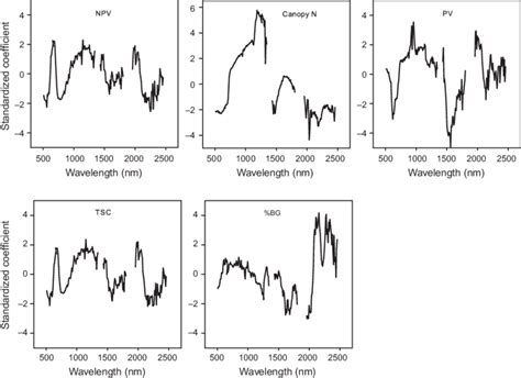 Standardized Coefficients For PLS Regression Based On Fitting Entire
