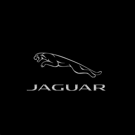 Jaguar Badge Emblem Digital Art By Cynthia Ryan Fine Art America