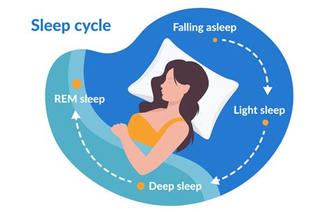 Biphasic Sleep Learn About Segmented Sleep 2025