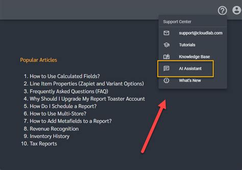How To Use The Report Toaster Ai Assistant
