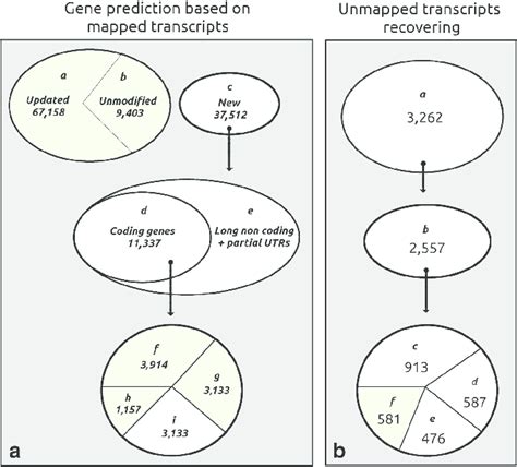 gene prediction statistics statistics inferred using the mapped