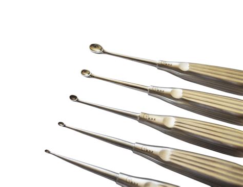 Dental Curette Veterinary At Leo Mclucas Blog