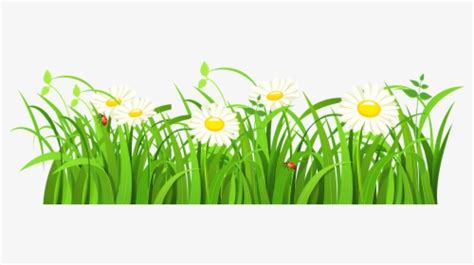 Gimp Rendering Photoscape Creative Green Grass Png Png Transparent Background Grass Png Png