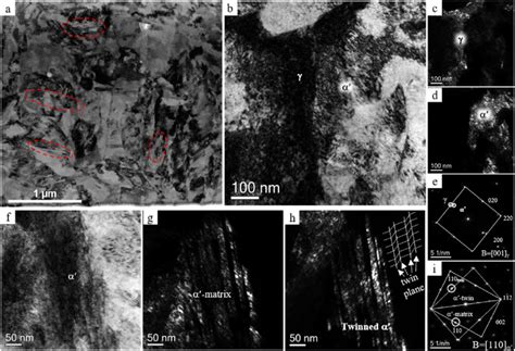 A Bf Stem B And F Bf Tem And C D G And H Df Tem