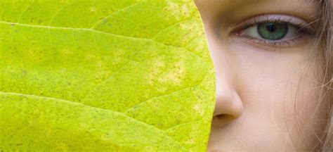 Environmentally Friendly Cosmetics Reality And Myths In Cosmetics Connect