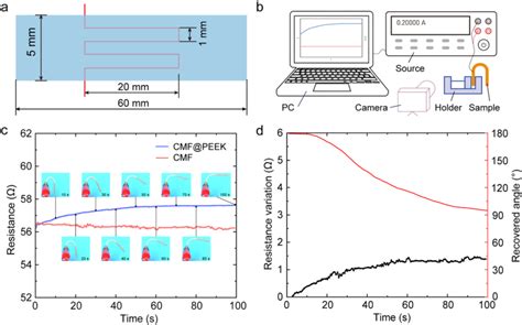 华中大臧剑锋教授与吉大张志辉教授《compos Sci Technol 》 4d打印形状记忆聚合物 连续金属丝复合技术 中国聚合物网科教新闻