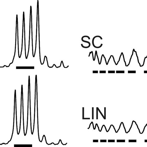Densitometric Scans Of The Reaction Of Dimethylsulphate With The G 3 T Download Scientific