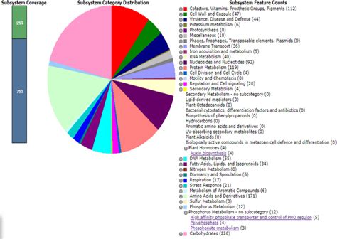Subsystem Category Distribution Of Major Protein Coding Genes Of