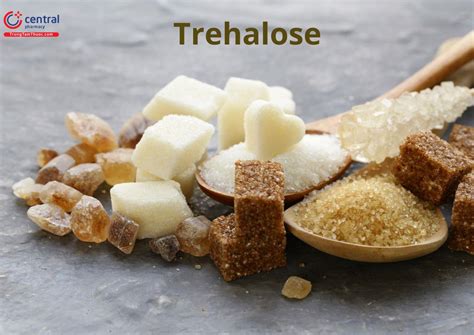 Trehalose Đường Không Khử Có Tác Dụng Giữ ẩm Trong Mỹ Phẩm