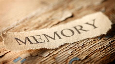 Spatial Memory How Your Brain Navigates The World Around You Opic 3d