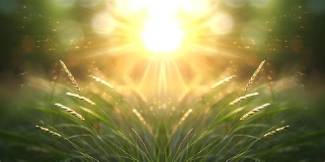 Exploring The Impact Of Regenerative Agriculture On Carbon Sequestration Through Digital Art