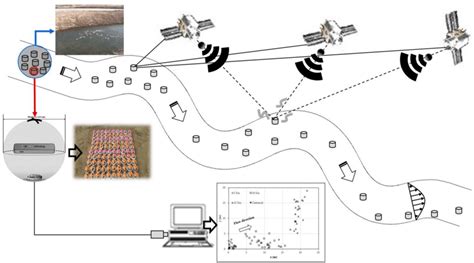 Schematic Of Diffusion Experiment Download Scientific Diagram
