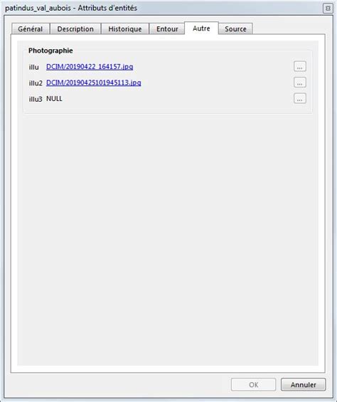 Qfield Doesnt Save Captured Photos · Issue 571 · Opengischqfield