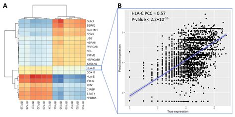 Spatial Transcriptomic Analysis Reveals Associations Between Genes And