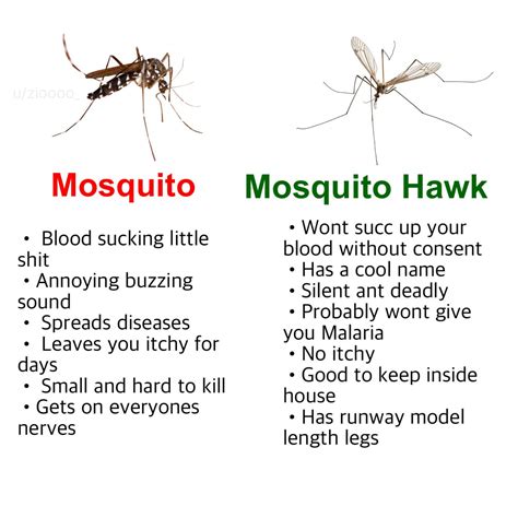 Giant Mosquito Memes Funny Giant Mosquito I Hate Mosquitoes Product