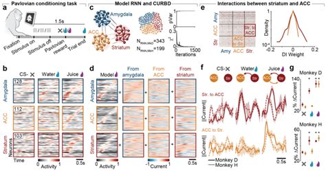 Current Based Decomposition Of Three Region Pseudopopulation Recordings