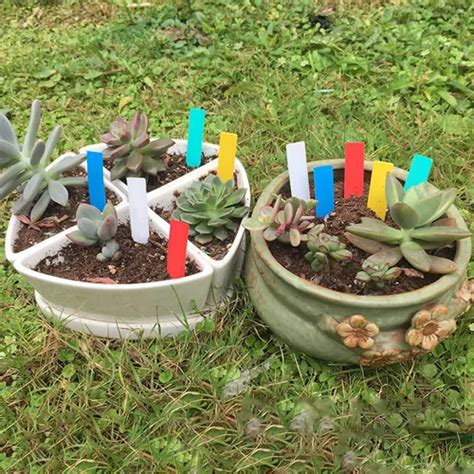 100 Peças De Etiqueta De Jardinagem Inserção De Plástico E