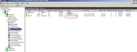 Netweaver Development Studio Debug Remoto Nick Name