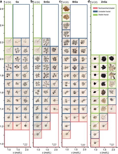 Ad Liquid Metal Fractal Morphology Diagrams Of Ga A Snga B Biga