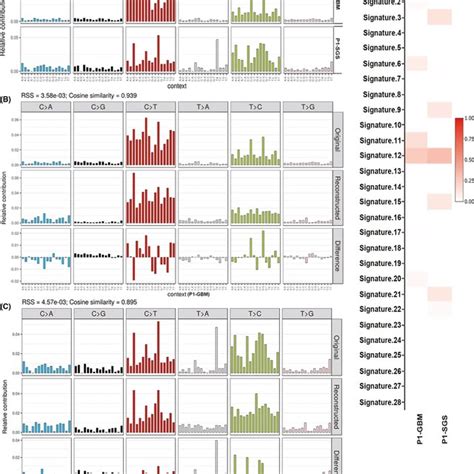 Mutation Signatures In Tumor Tissues A Mutation Prevalence And Download Scientific Diagram