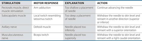 Infraclavicular Brachial Plexus Block Hadzics Peripheral Nerve