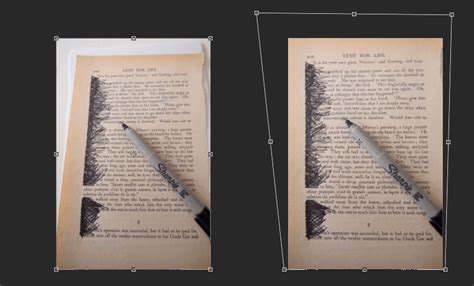 how to fix photo perspective and crop to a perfect rectangle magenaut