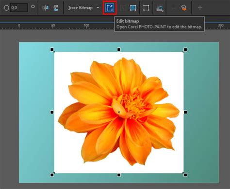 How To Remove Background Color In Corel Photo Paint At Sophia Wiseman Blog