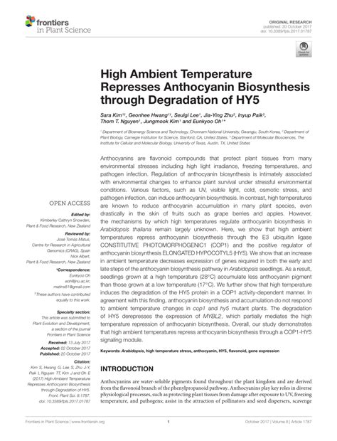 Pdf High Ambient Temperature Represses Anthocyanin Biosynthesis