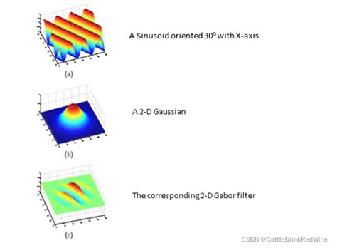 Gabor特征码分析2d Gabor特征提取 Csdn博客