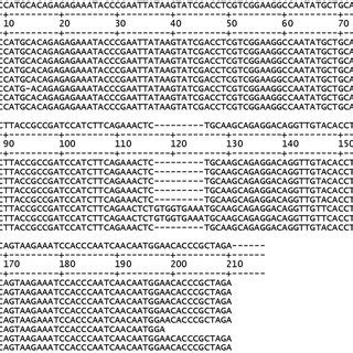 Alignment Sequence Of 210 Base Pairs Bp Of The SRY Sex Determining Download Scientific