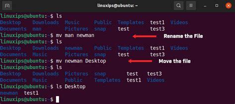basic linux commands for beginners linuxips