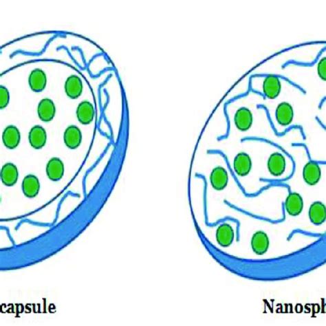 Nanocapsule And Nanosphere Schematics Download Scientific Diagram