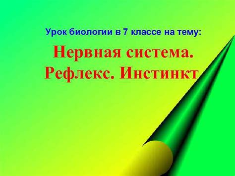 Урок биологии в 7 классе на тему Нервная