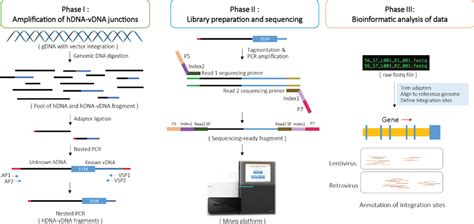 Overview Of Viral Integration Site Analysis Visa Pipeline A Download Scientific Diagram