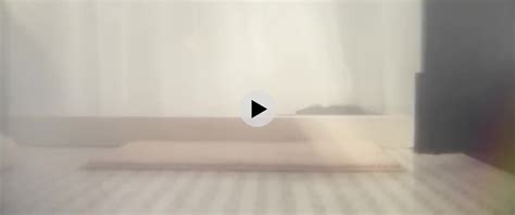 ㅇㅎ 젠존제 주연 보소 치지직 에펨코리아