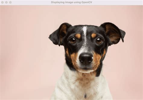 How To Read Write Display Images In Opencv And Converting Color