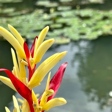 Taimur Baig On Linkedin We Published This Before This Mornings China