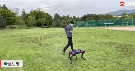 3만원→15만원 삼성이 찍은 로봇회사 쭉쭉 오르더니 코스닥 톱10에