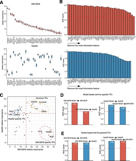 Tf Models Identify Cell Line Specific And Shared Specific Tfs With