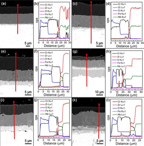 Cross Sectional Sem Images And Corresponding Eds Line Scan Of The Outer Download Scientific