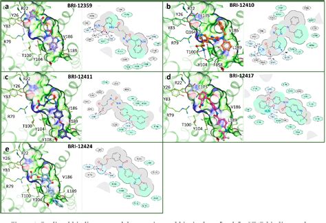 Figure 6 From Structure Based Virtual Screening Of Ultra Large Library
