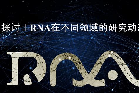 探讨∣rna在不同领域的研究动态